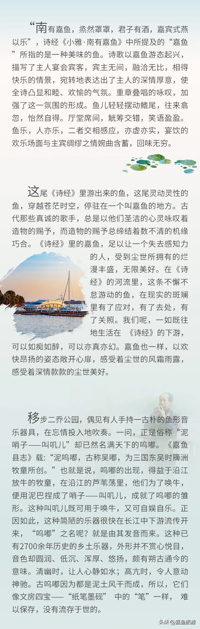 There are chia fish in the south of the waves - iMedia