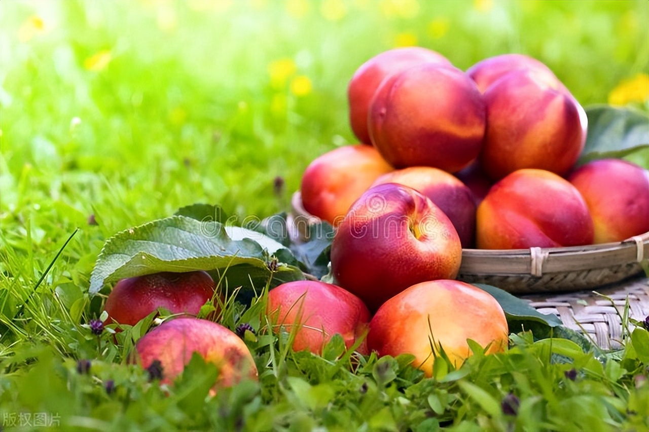 Can you eat nectarines in early pregnancy - iNEWS