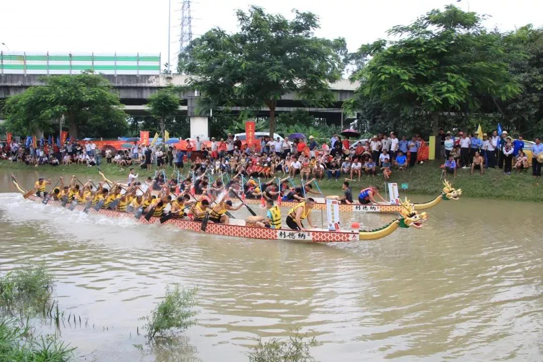 Dragon boat rides together, struggles forward - iNEWS