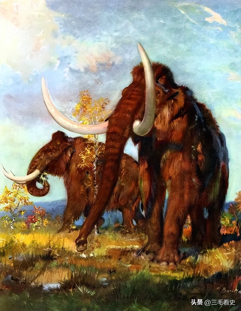 How did ancient Rome use ivory to carve crafts? What impact will it ...