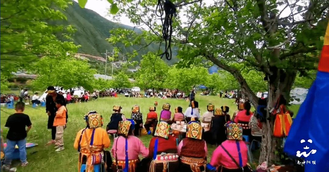 [National Culture] Ruomu New - Flower Watching Festival in Jiarong Area ...