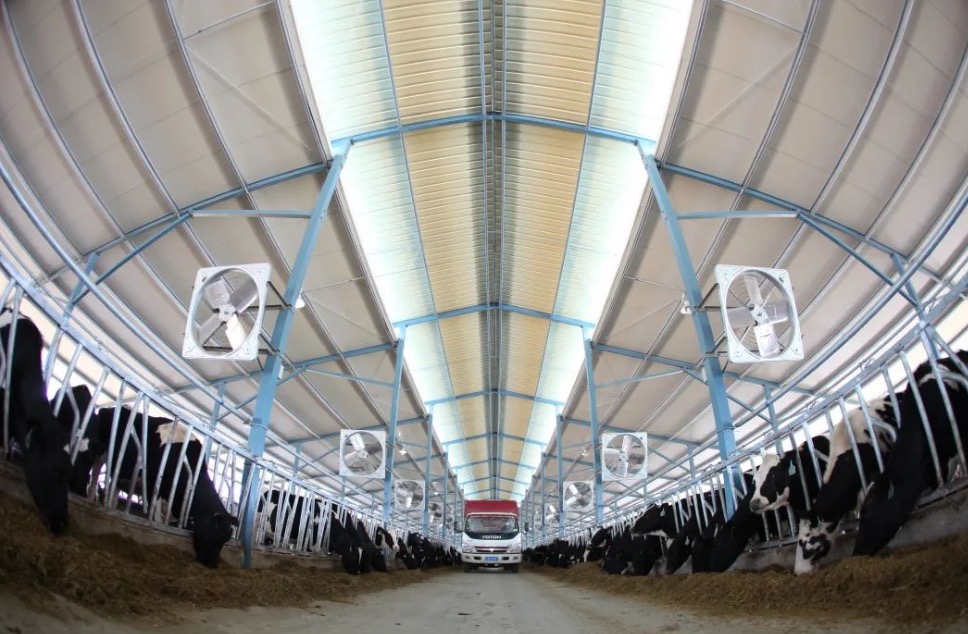 Modern animal husbandry, bid farewell to "winter" - iMedia