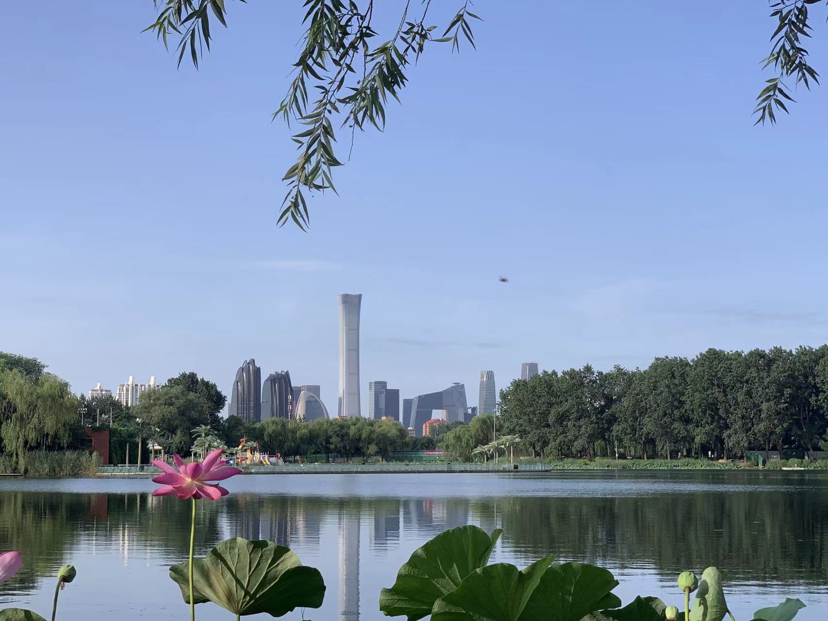 Cricket Ju Yu Yu Ruyi - iNEWS