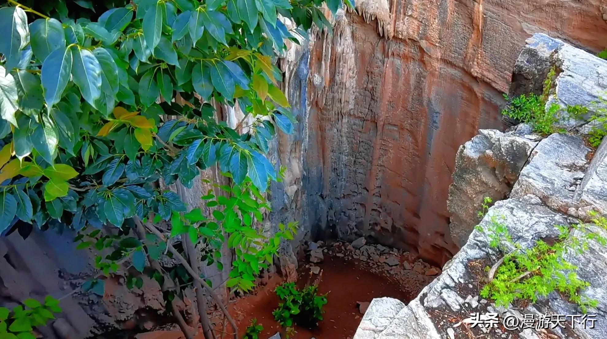 Although the scale of the tiankeng is small, it is diverse and ...