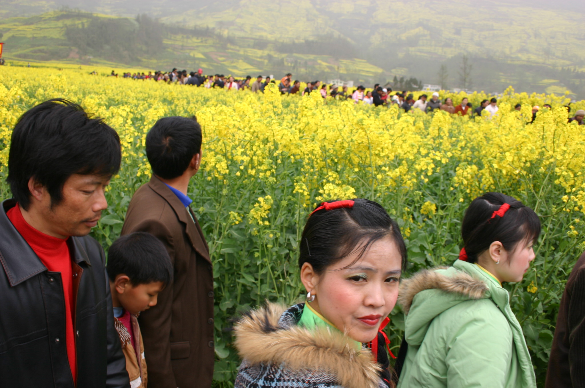 Zhang Shengkai: My village flower—come on! - iNEWS