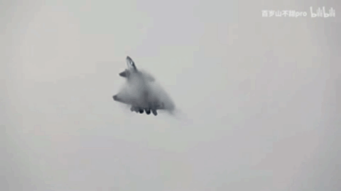 The design of the J-9 more than 50 years ago is very advanced!It is the ...