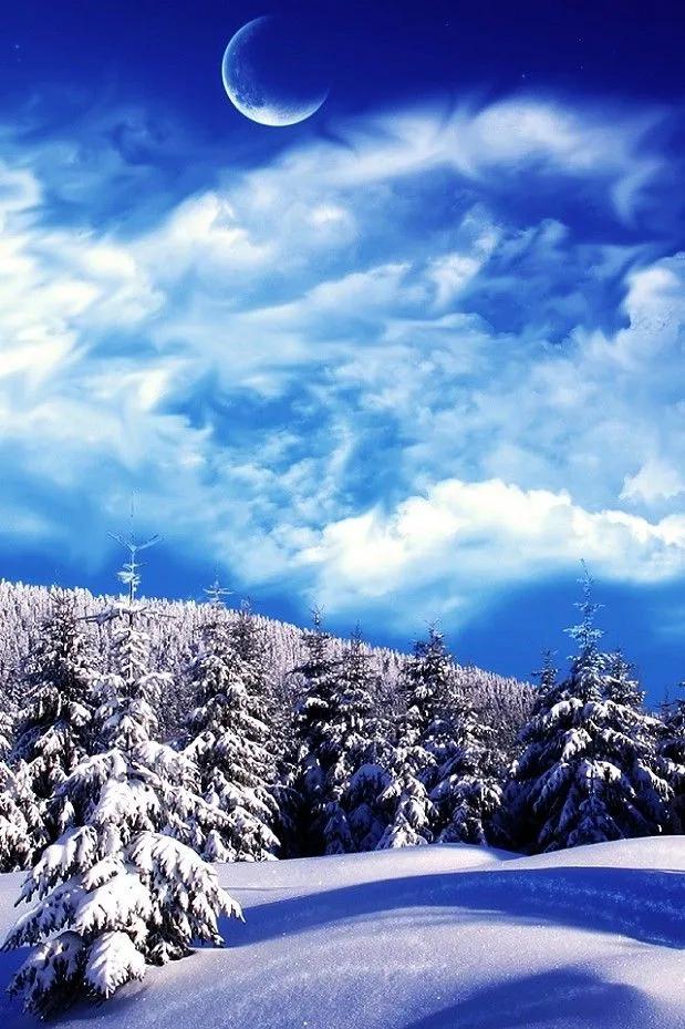 Learn to write winter memories from famous artists - iNEWS