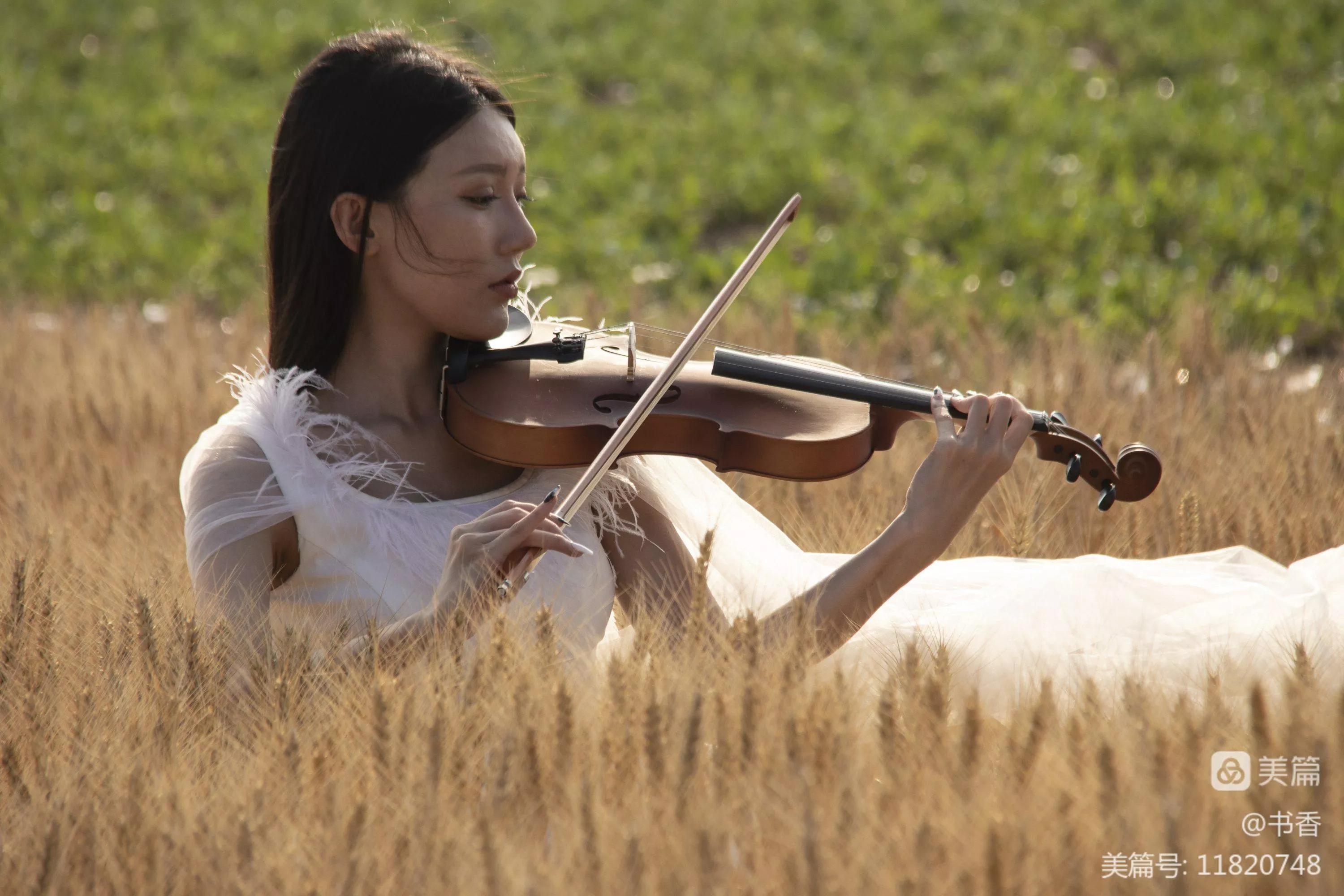 The story of the wheat field - iNEWS