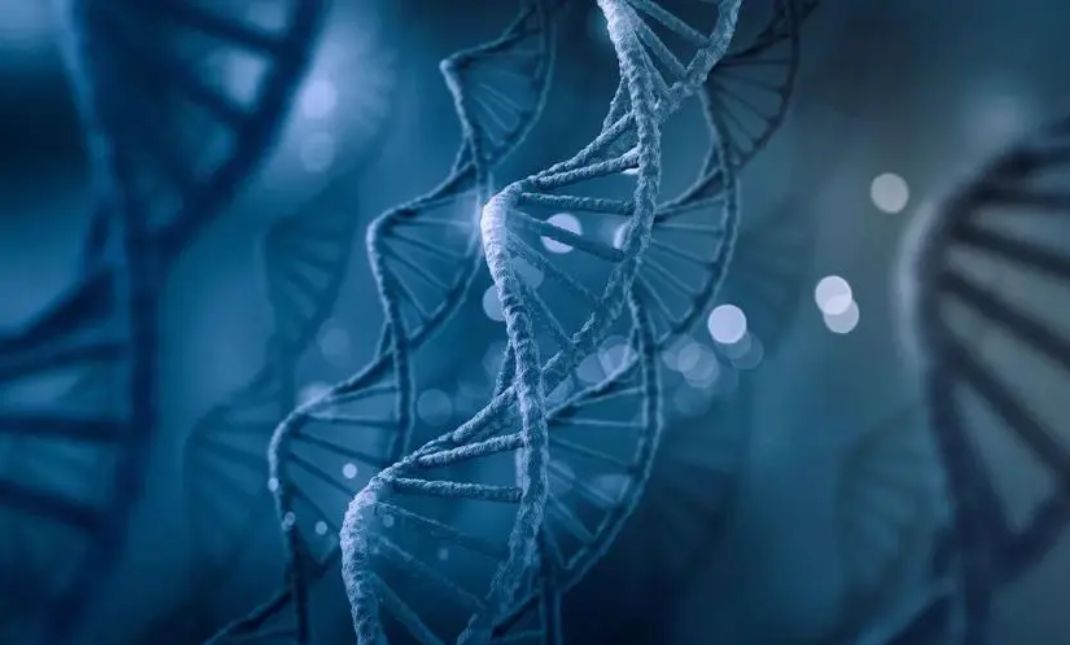 Da'an Science Popularization: Technical Principles of Molecular ...