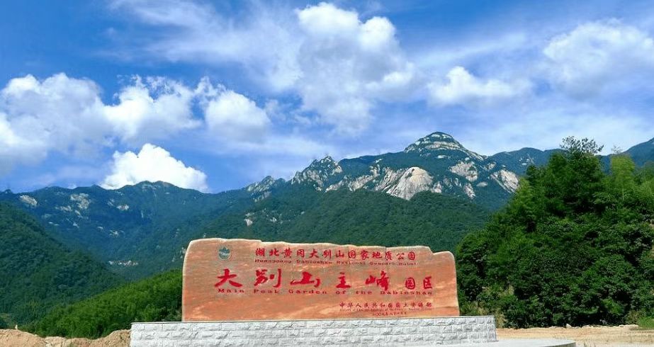 Dabie Mountain Specialty-Huoshan Lily - iNEWS