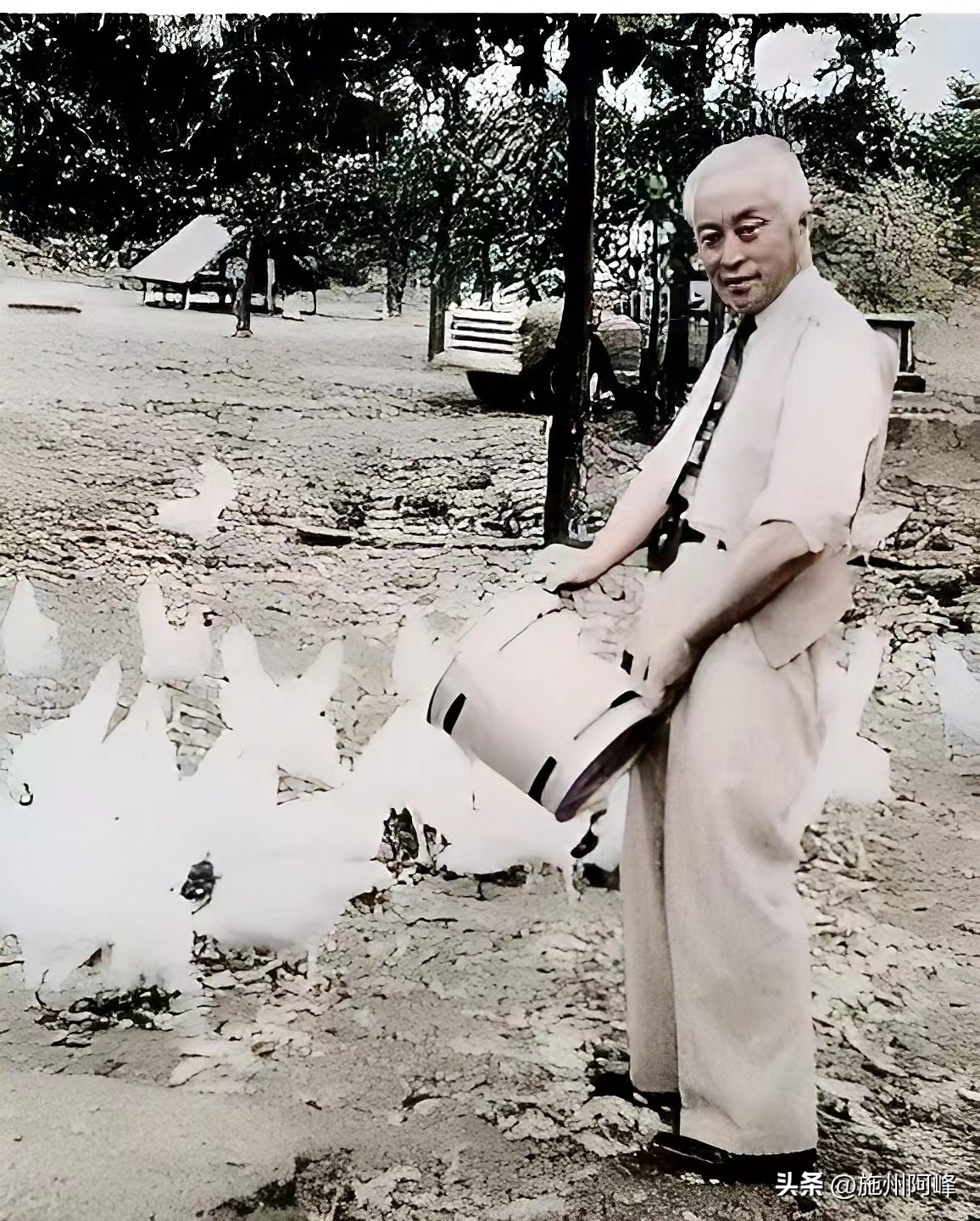 Chen Lifu was once a popular person around Chiang Kai-shek. In the ...