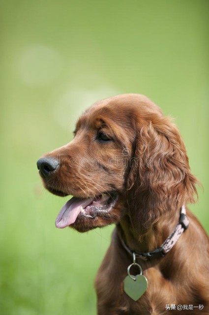 Questioning is like the root of thought, please let children ask ...