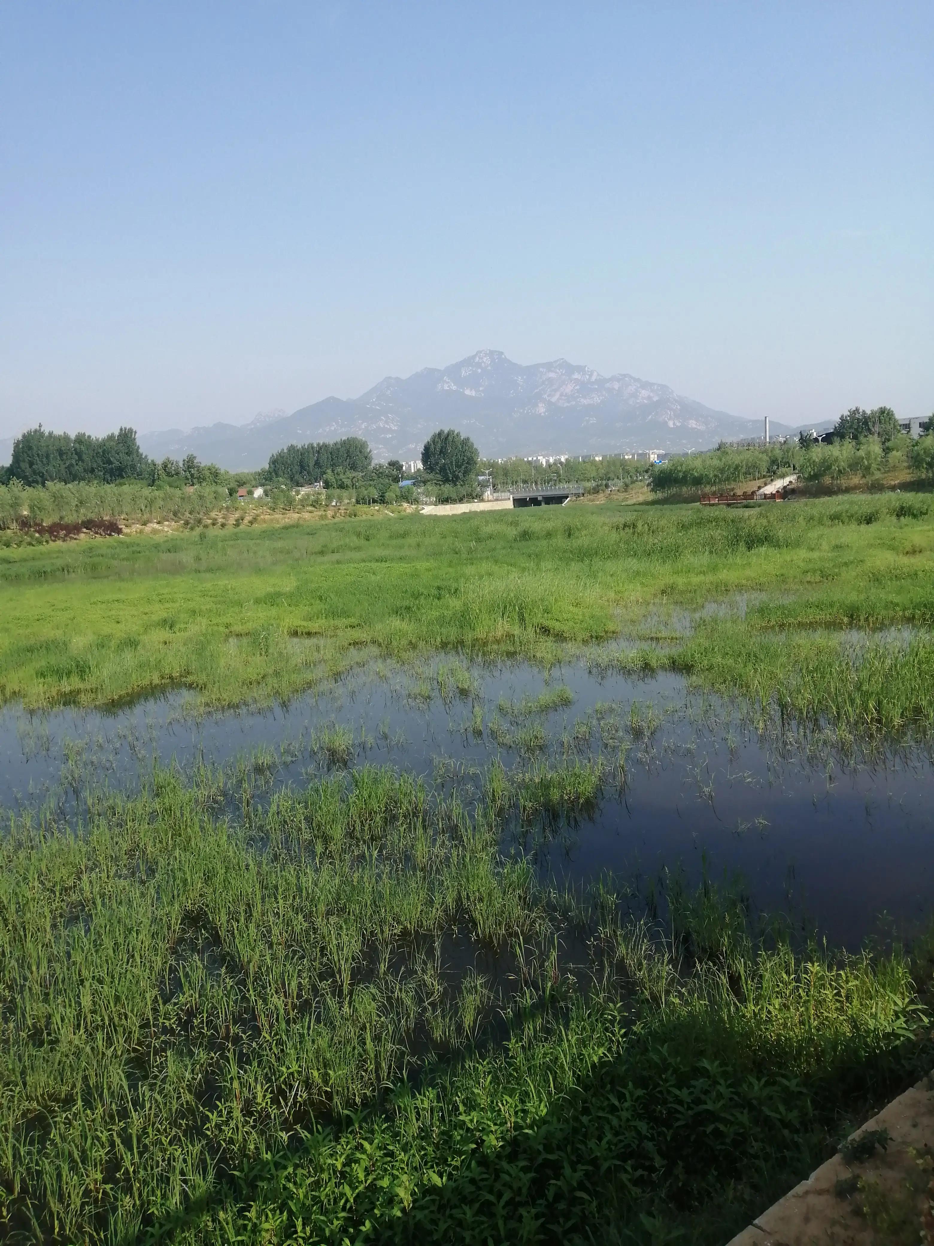 Ecological beauty of Mount Tai - iNEWS