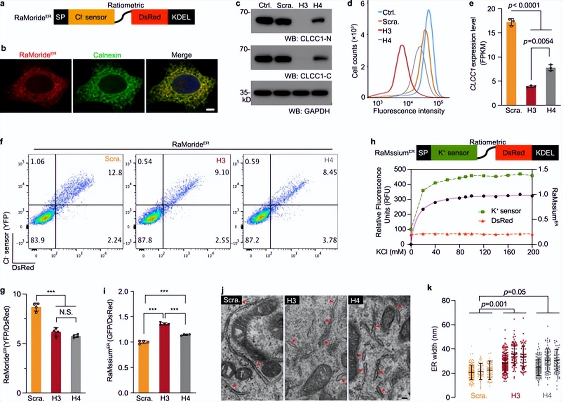 Jia Yichang/Gao Zhaobing/Fan Dongsheng's team discovered the anion ...