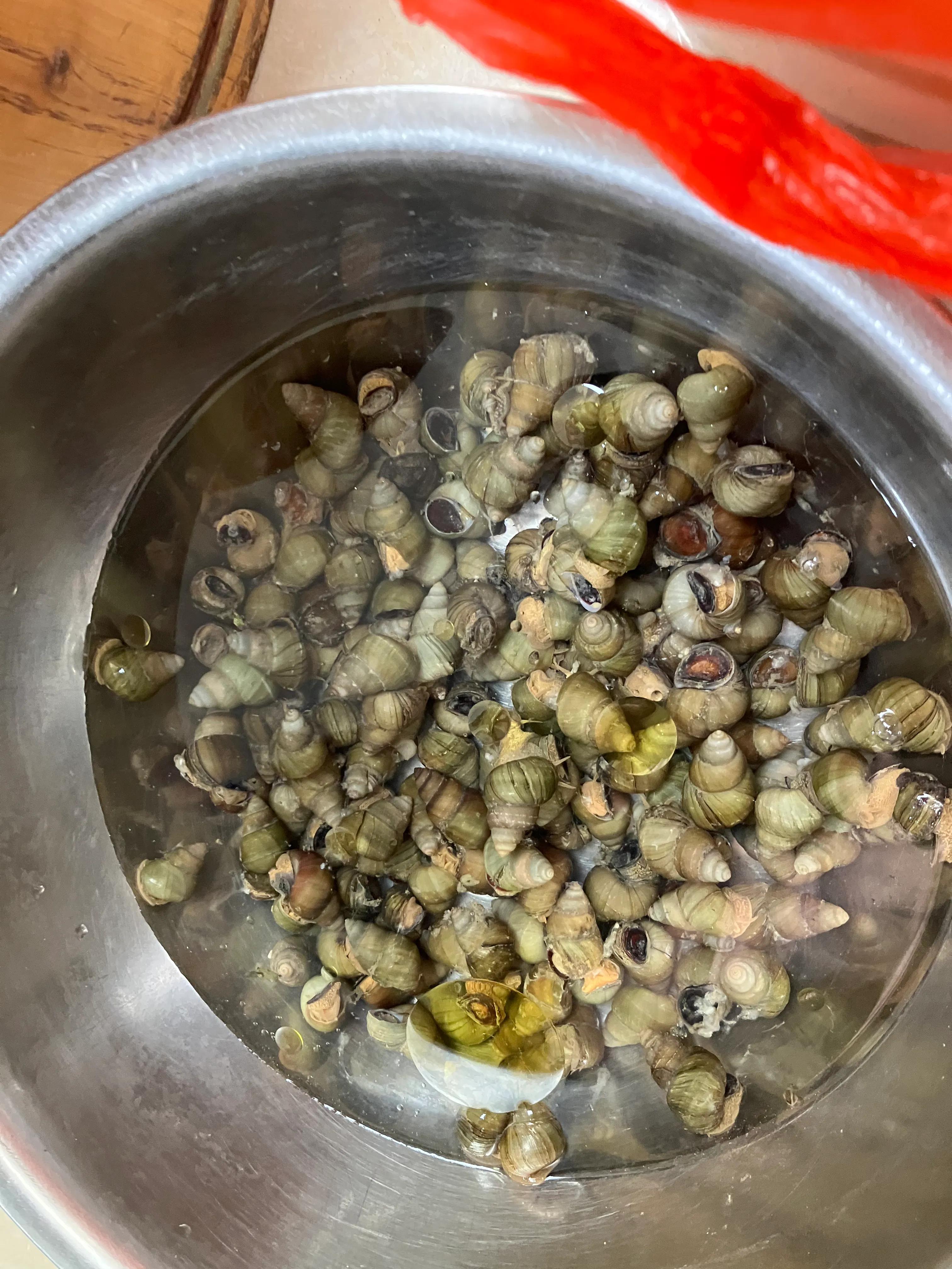 The snails are fat and delicious, you will regret it if you don't eat ...