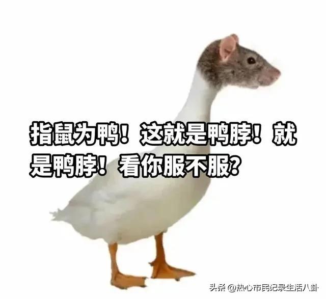 At this moment and this scene, let me write a poem, a netizen is too ...