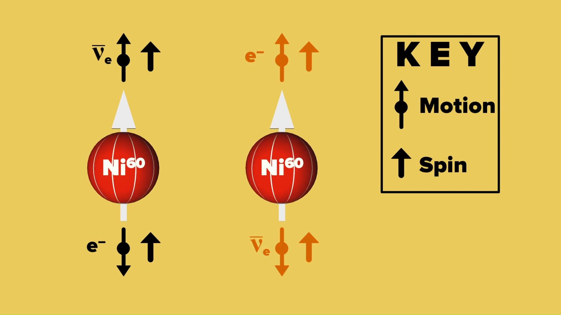 The asymmetry of the weak nuclear force: how does it distinguish left ...