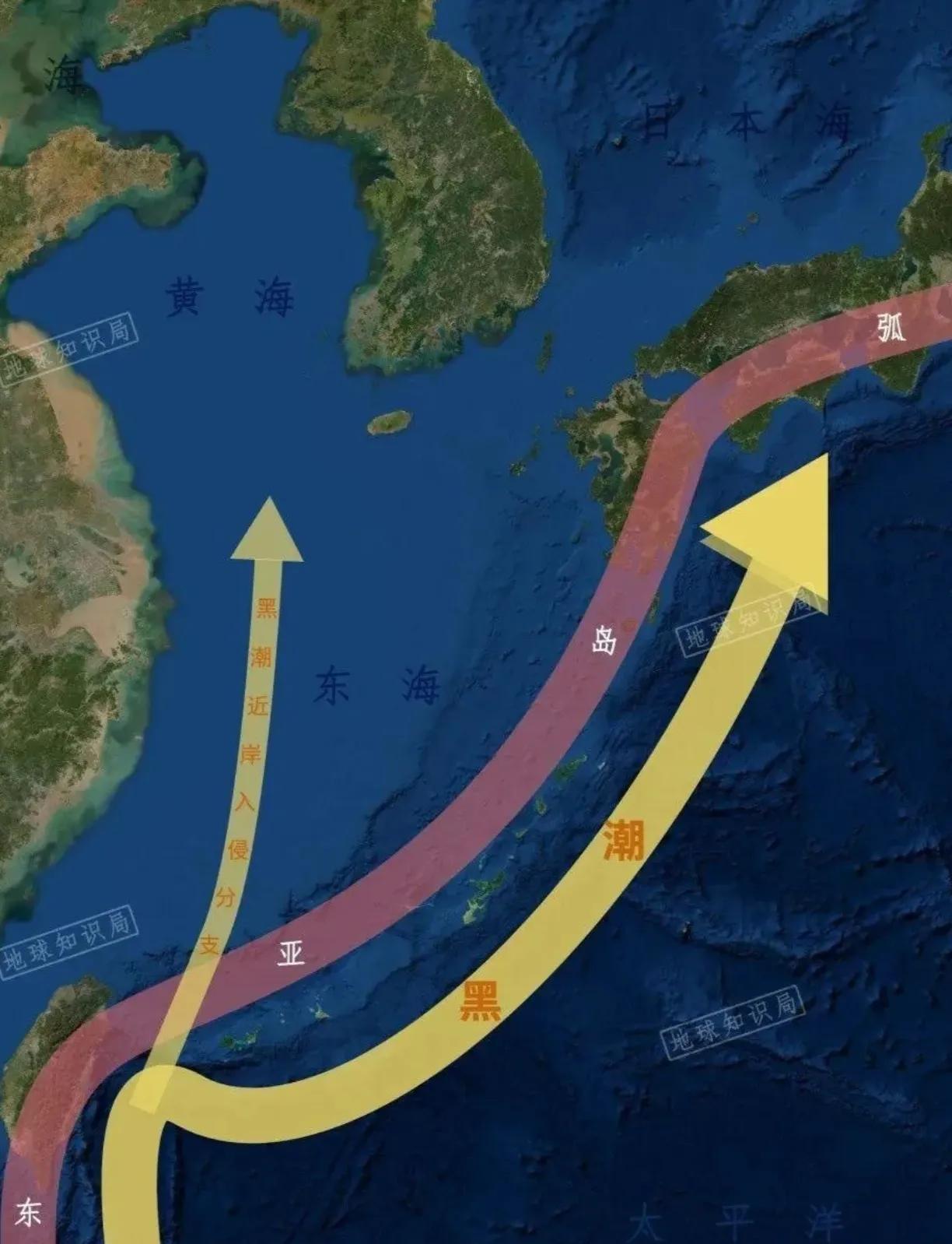 The Arteries of the Ocean: The Kuroshio Current - iMedia