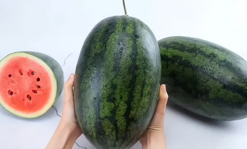 Is Black Beauty Watermelon Poisonous? - iNEWS