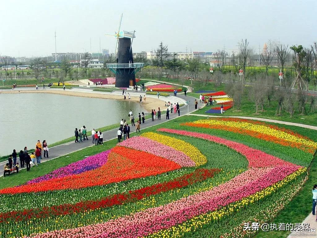 China Tour 5 Shanghai Station: Introduction and Attractions of Nanhui ...