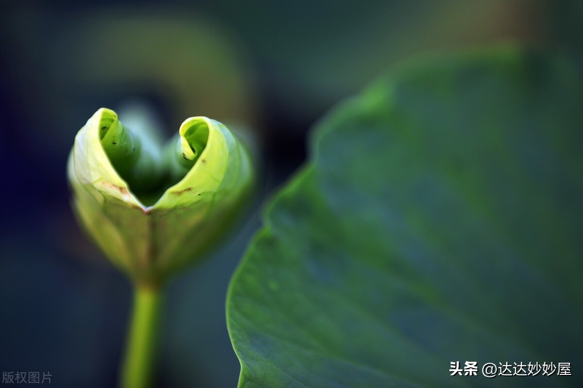 Lonely and helpless in their later years, without support, they are ...