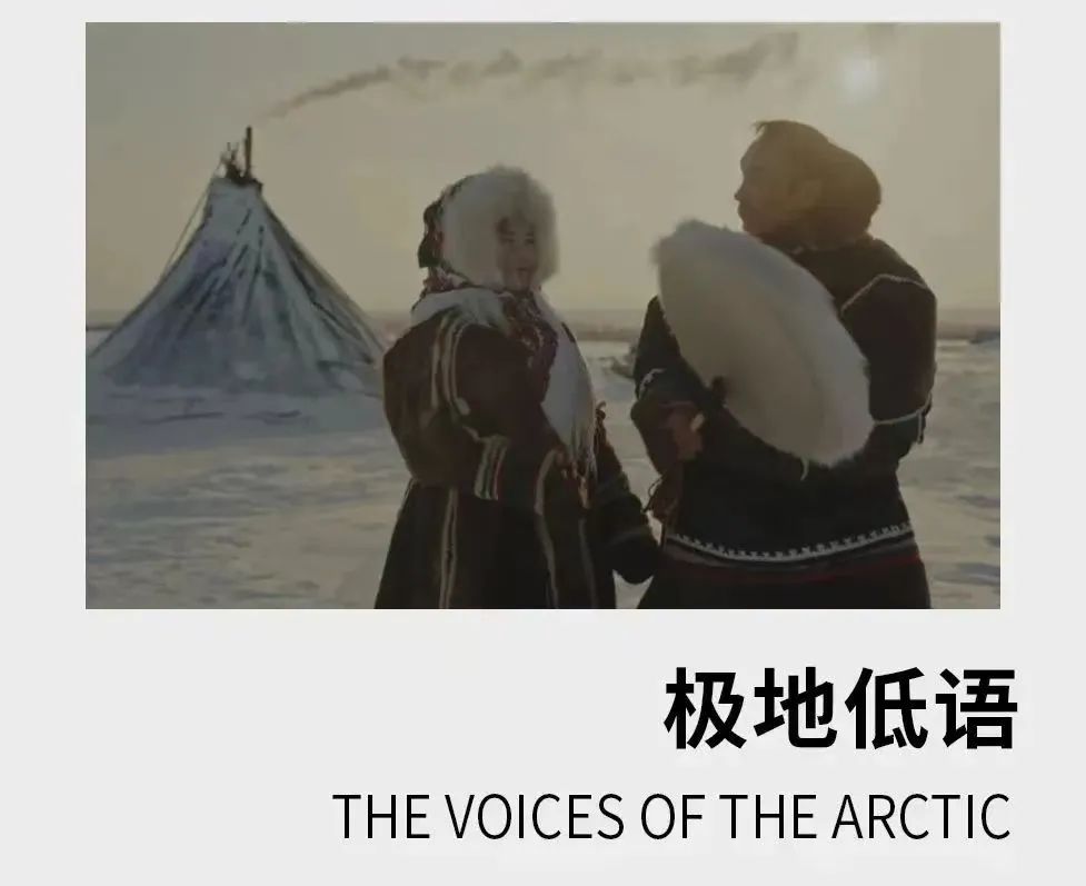 Photographer Xue Ming: Why go to a film festival to watch documentaries ...