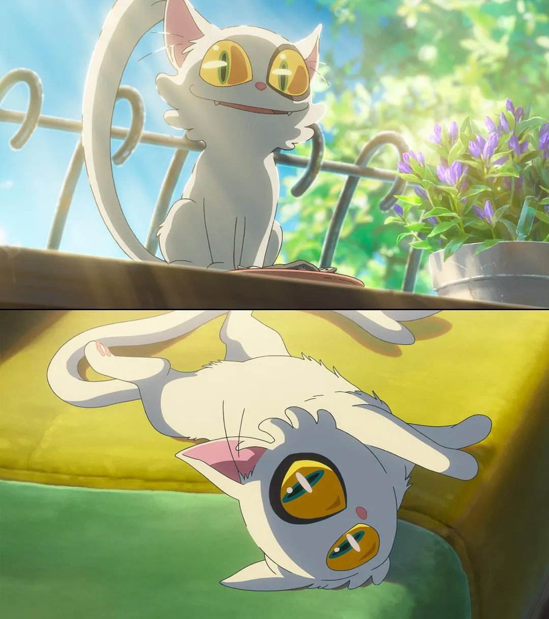 "Journey to Bell Bud" looks good, is it true? - iMedia