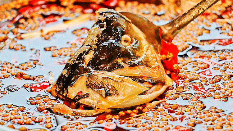 Luzhou Super "Hot" Frog Fish Hotpot Self-service Opens a New Store!All ...