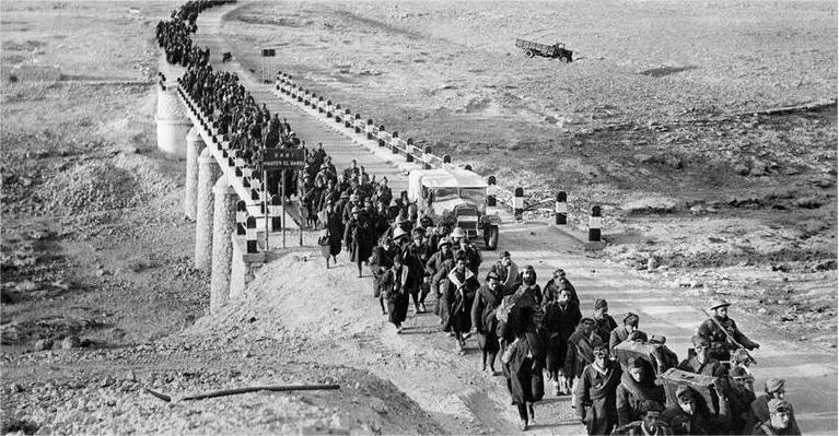 How much did World War II affect military personnel? Evidence from ...