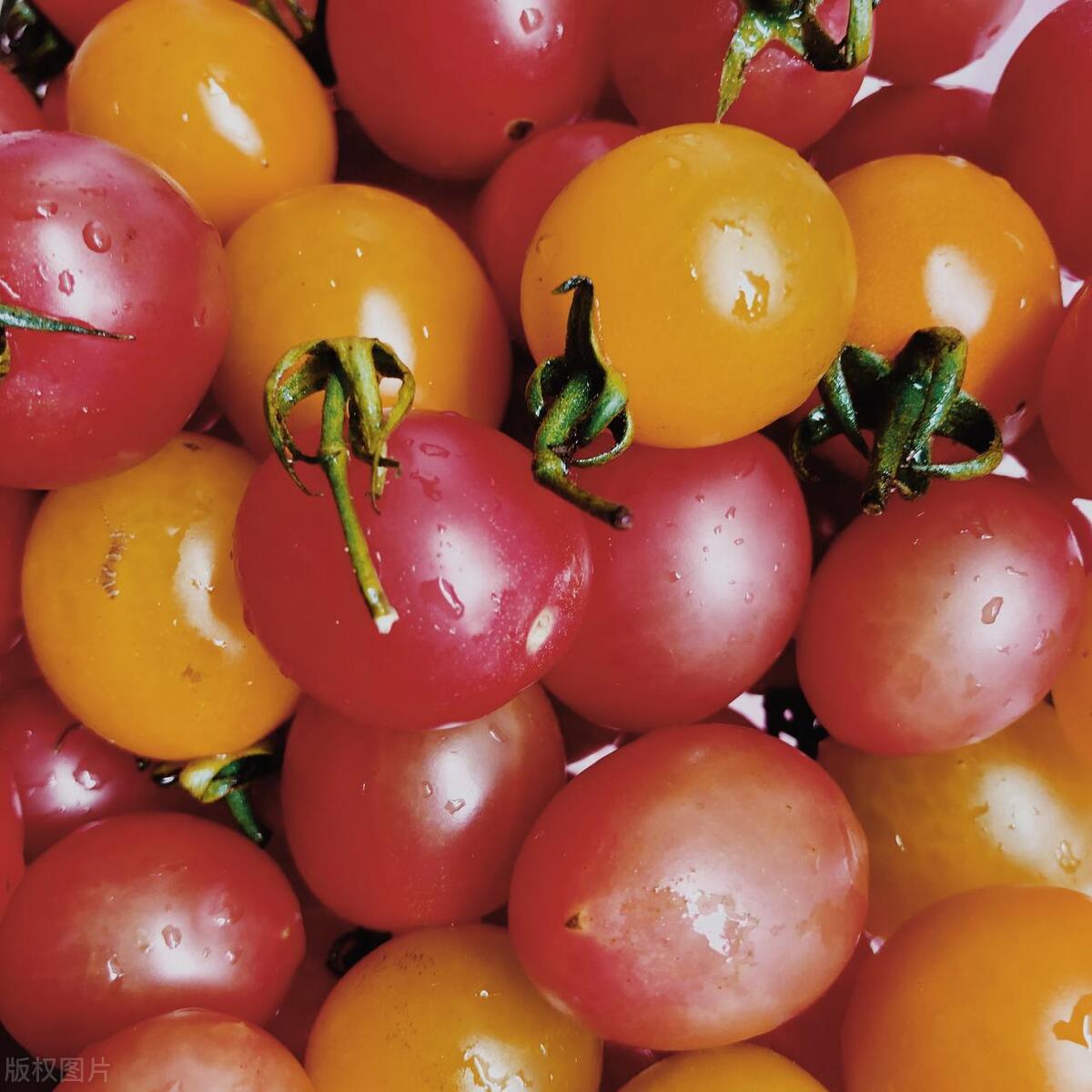 The season for planting persimmons is here. Learn the following points ...