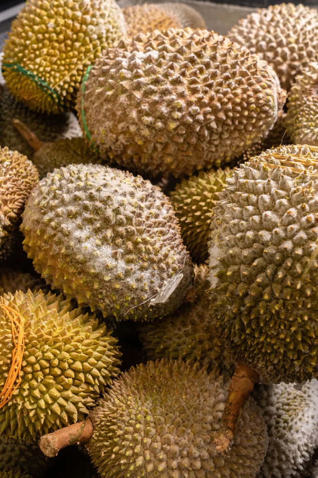 Foot weight 180g!Full of small fruits, a mouthful of "durian" - iNEWS