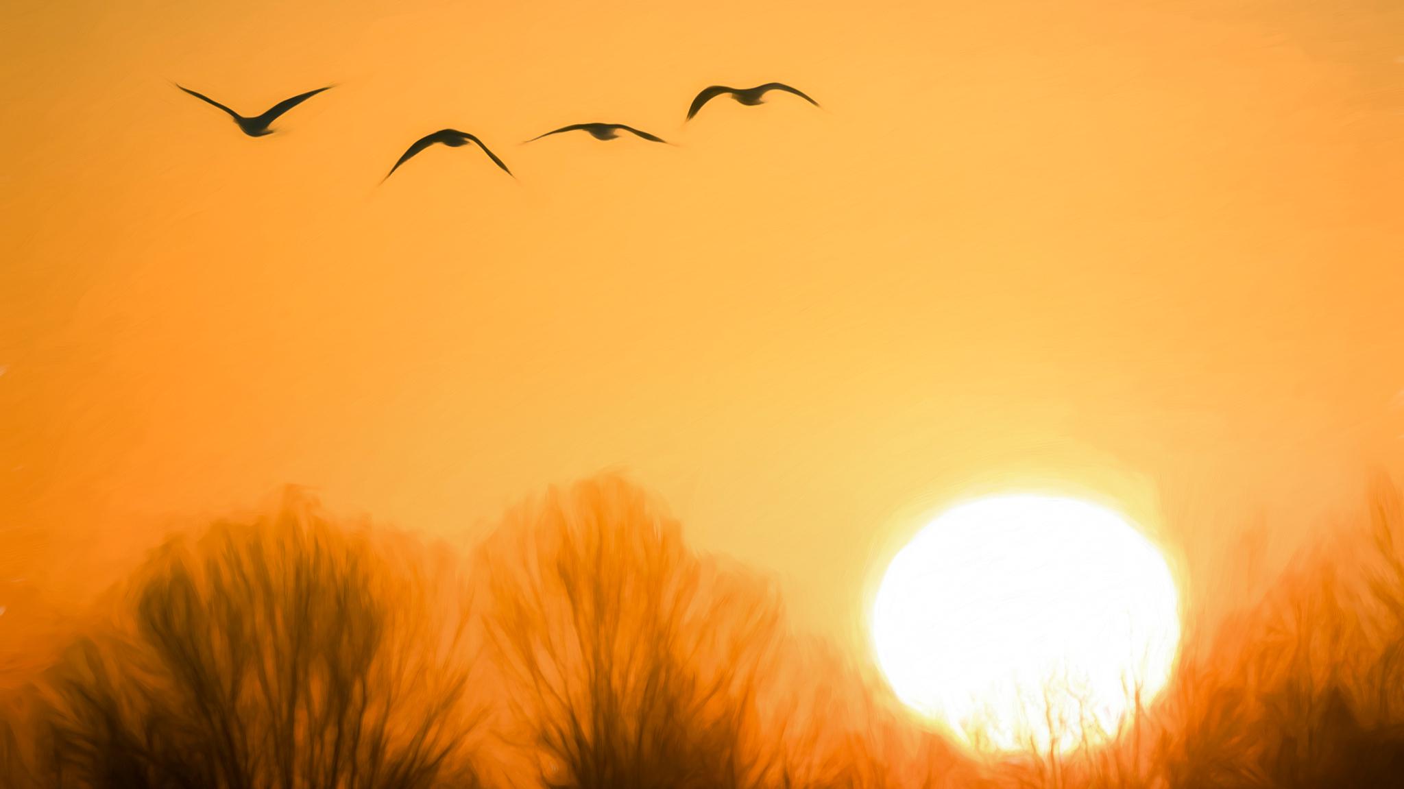 A very backbone poem by a poet in the late Tang Dynasty, euphemistic ...