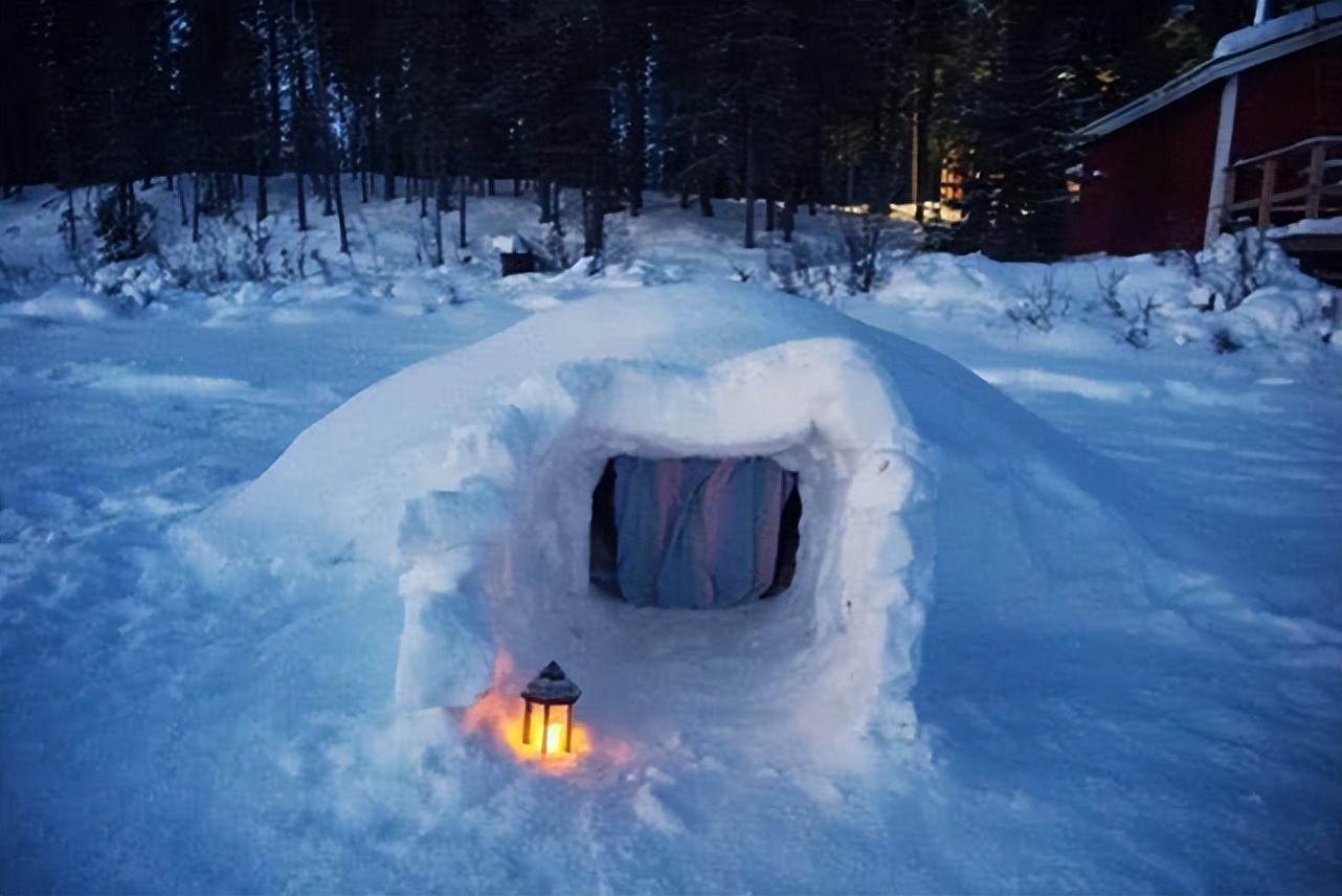 In 1909, humans arrived at the North Pole for the first time, and it ...