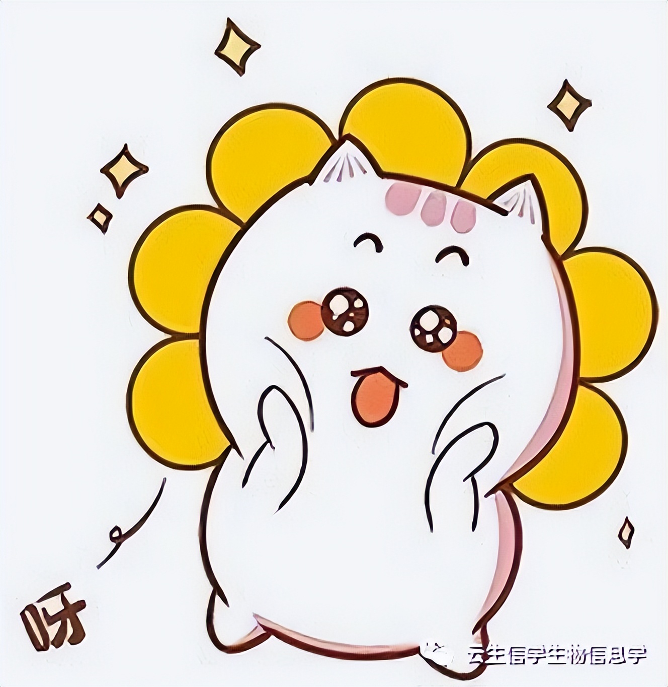 JASPAR - a database of predictable transcription factor DNA-binding protein binding recognition ...