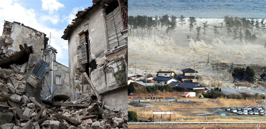 If a 50-meter-high tsunami hits, should it run inland or plunge into ...