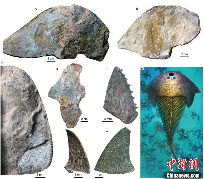 What did the Yangtze River Basin look like 438 million years ago?to ...