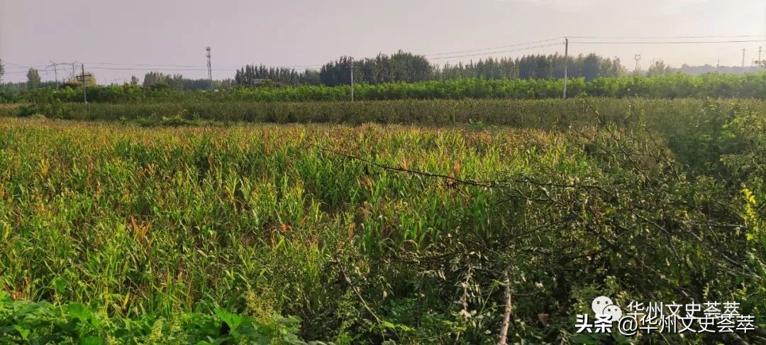 Huazhou Ancient Village - Yongjiawan Village, Lianhuasi Town - iNEWS