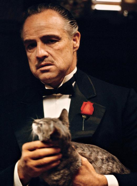 Views of Power and Family in "The Godfather" Series: An Analysis of a ...