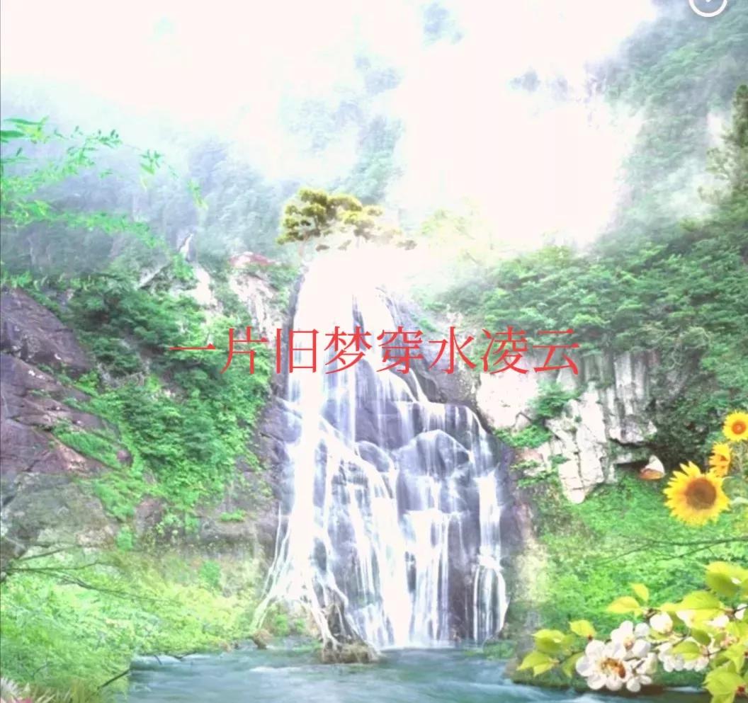 "Singing Wild Goose in Autumn" (Original) - iNEWS