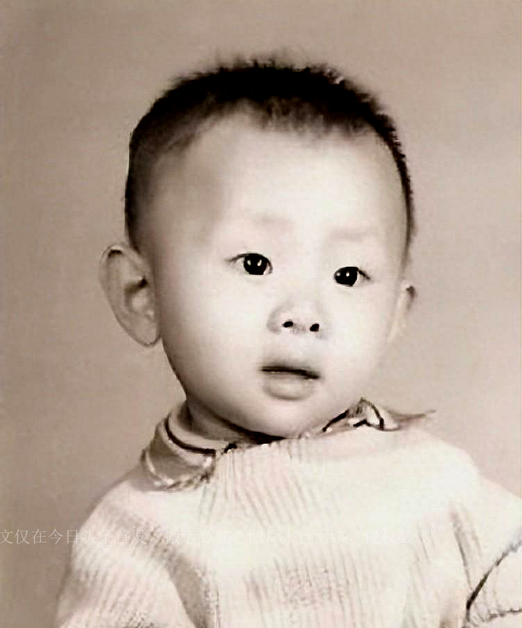 Five months after becoming popular, looking at the situation of "Gao ...