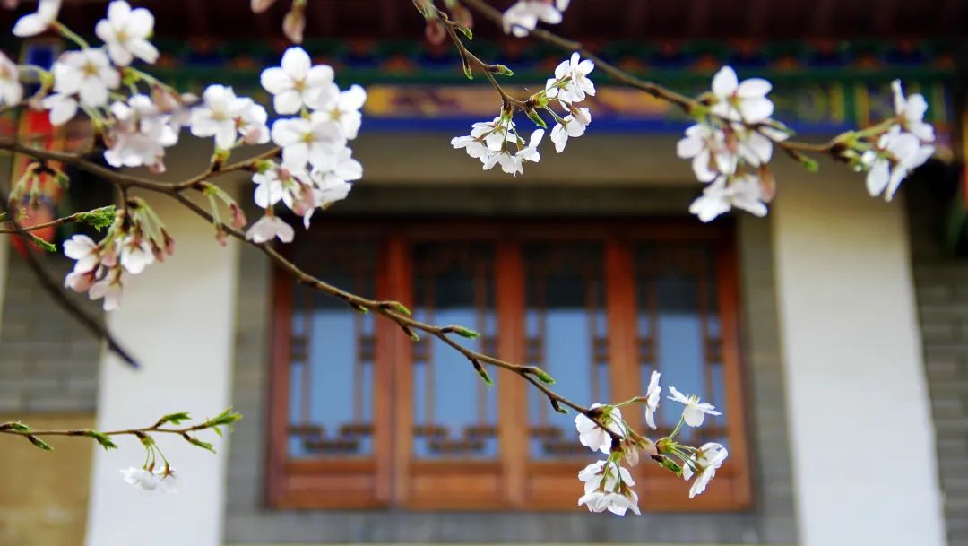 Touring the ancient city of Luanzhou, one step at a time, all the ...