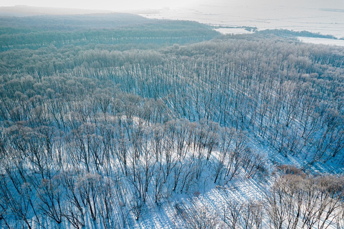 The flexible use of Northeastern dialect, how to say in Northeastern ...