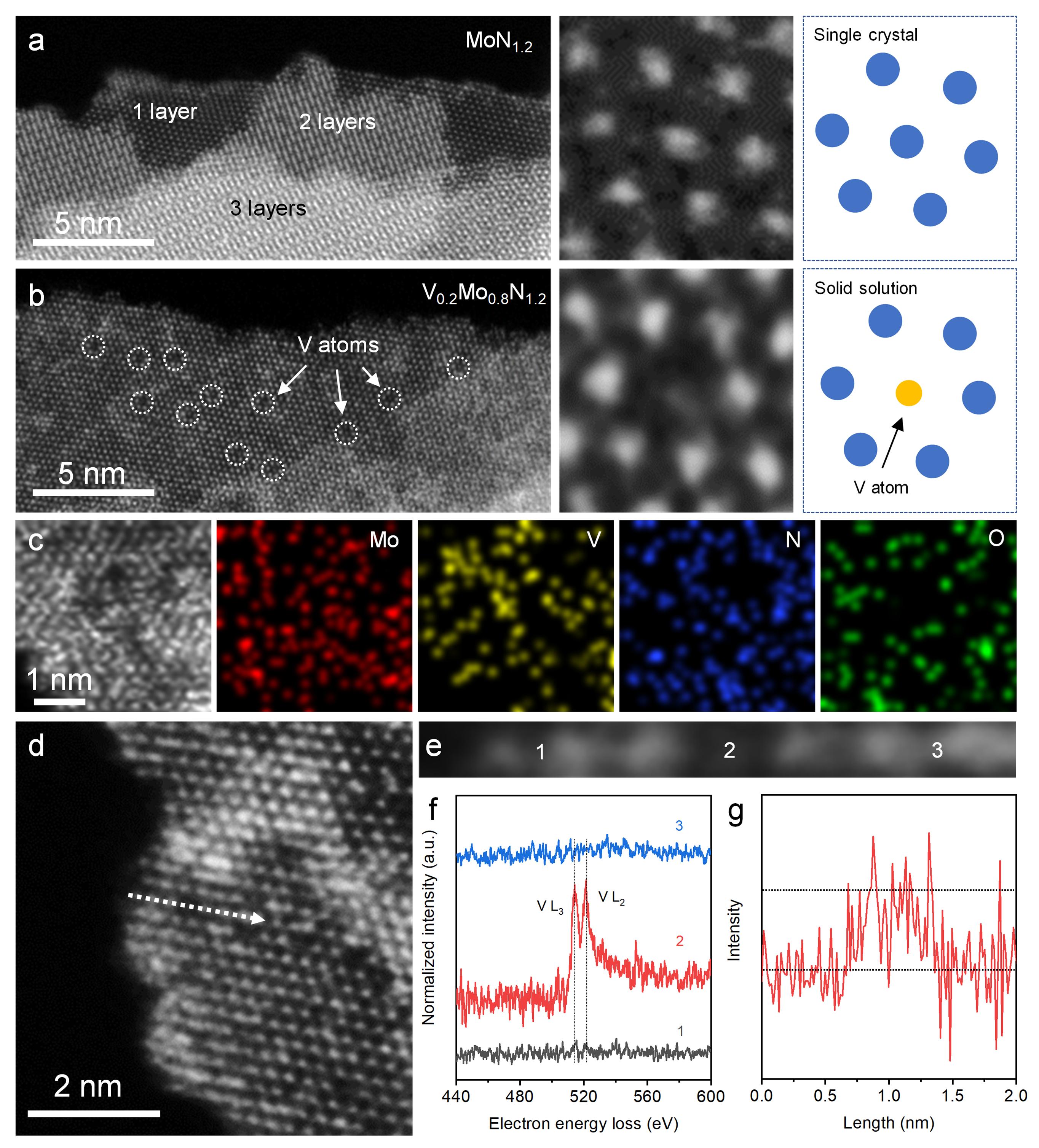 Prof. Shizhang Qiao, Angew: MXene analogs-two-dimensional azene for efficient electrocatalytic ...