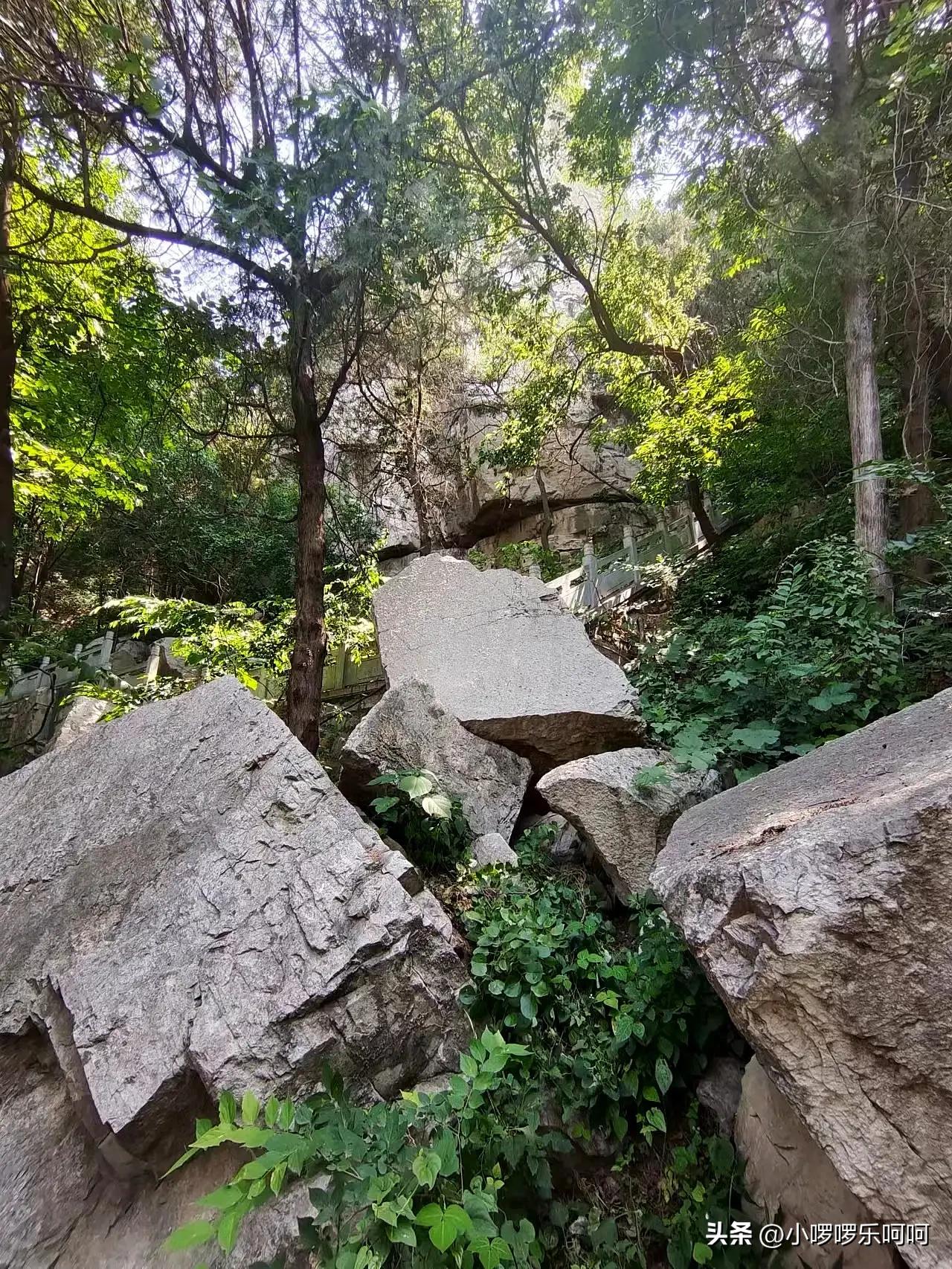 Panlong Mountain Forest Park - iMedia