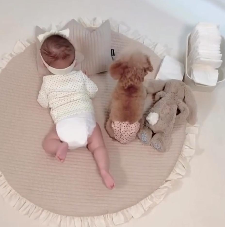 Seeing the newly born little master, the three VIPs in the family were ...