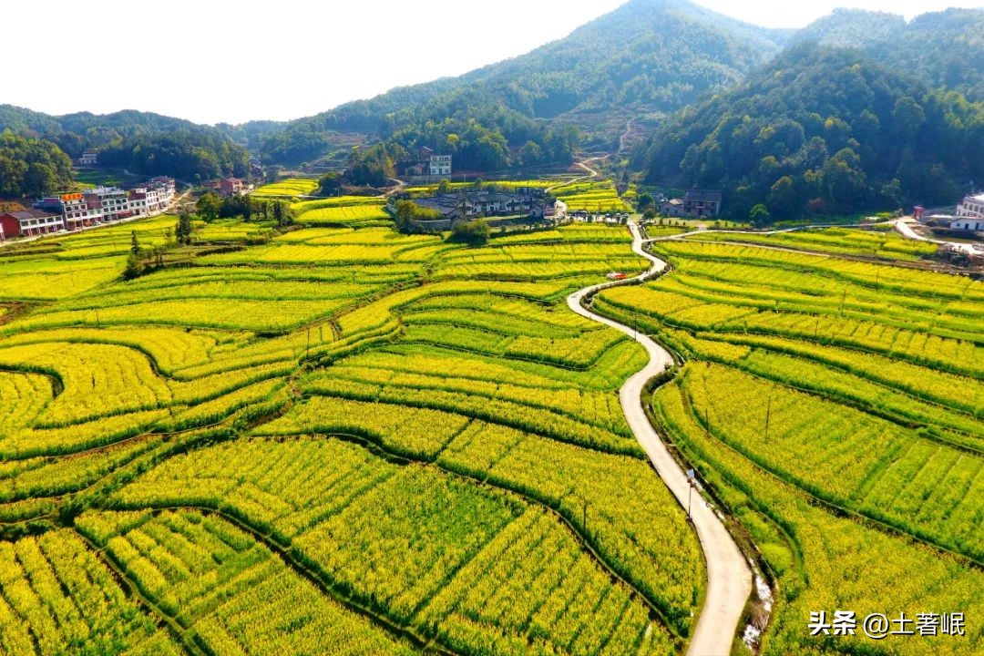 "Kuanyi" has a good mother - iMedia