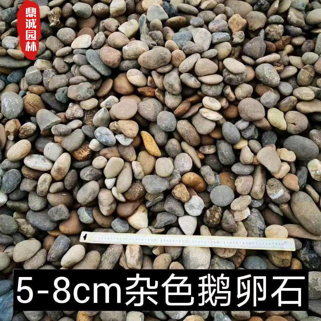 Does natural pebbles refer to naturally formed pebbles? - iNEWS