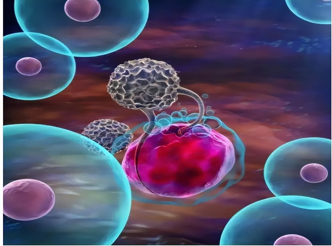 Is sugar an 'accelerator' for cancer cells?Reminder: These 5 kinds of ...