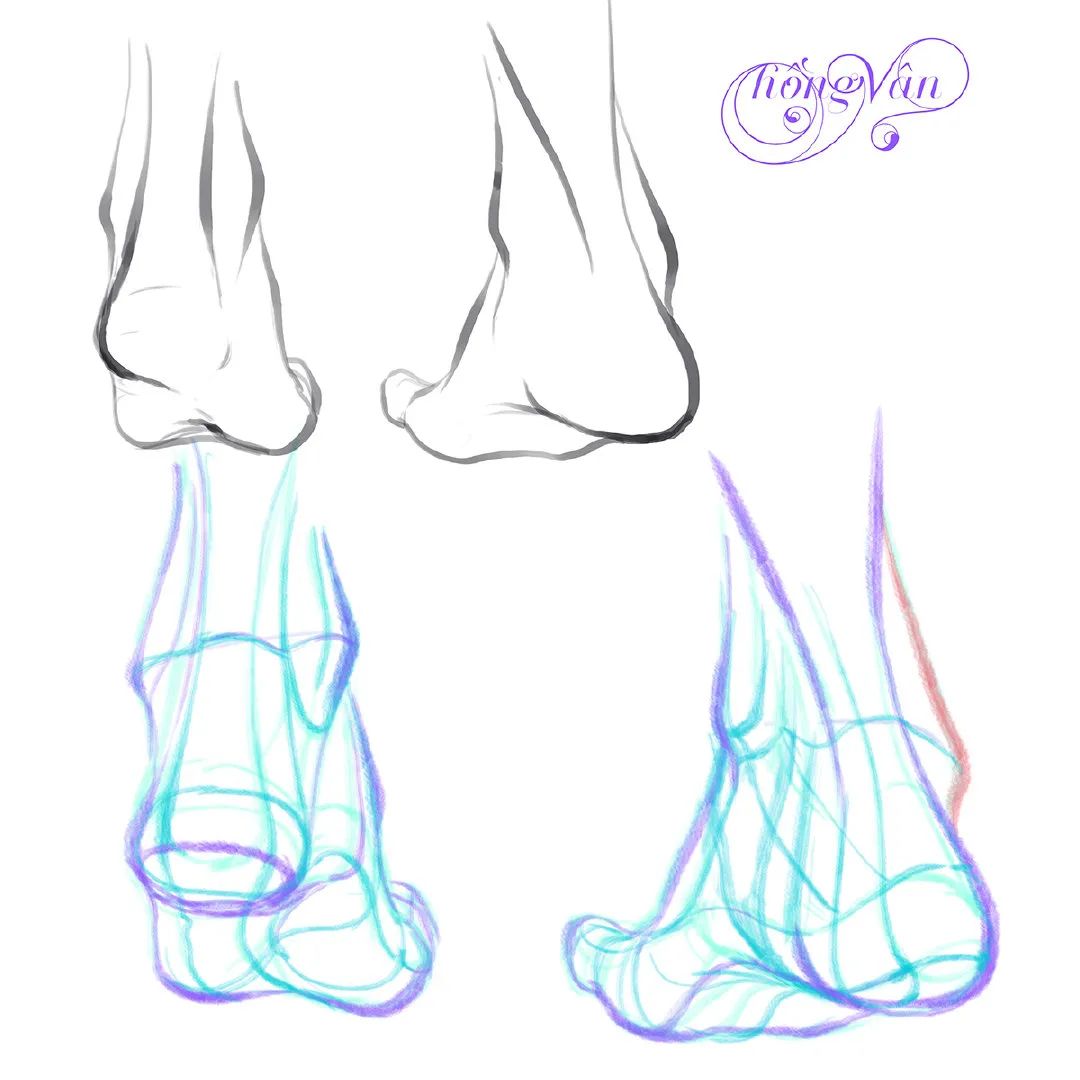 "Painting Reference" Human foot drawing reference shared by painter ...