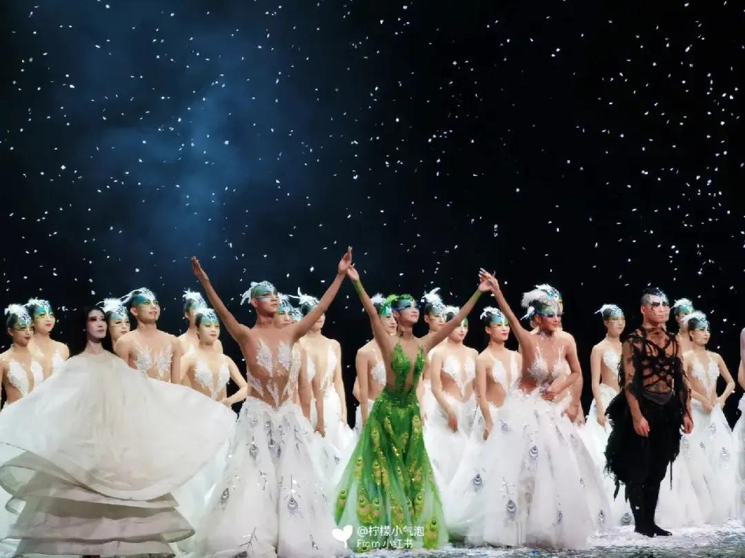 Peacock dancer Yang Liping provokes "indecent" controversy again, her ...